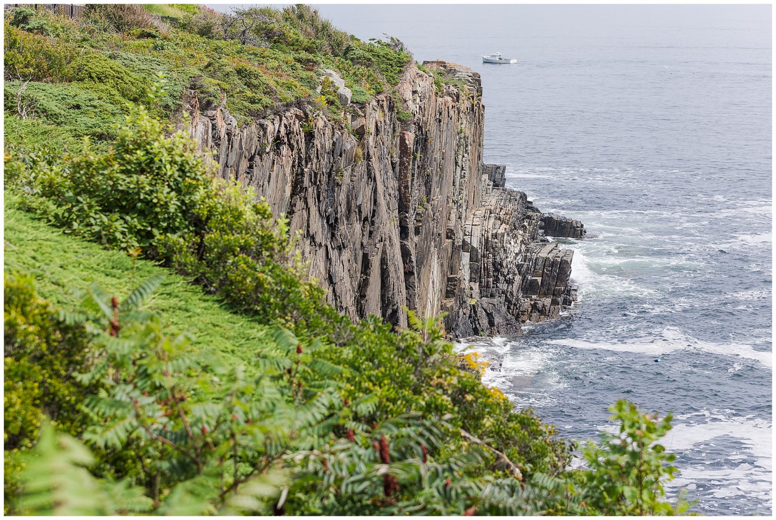 Stephanie + Dakota's Cliff House Wedding - The Ewings Photo Video Tea